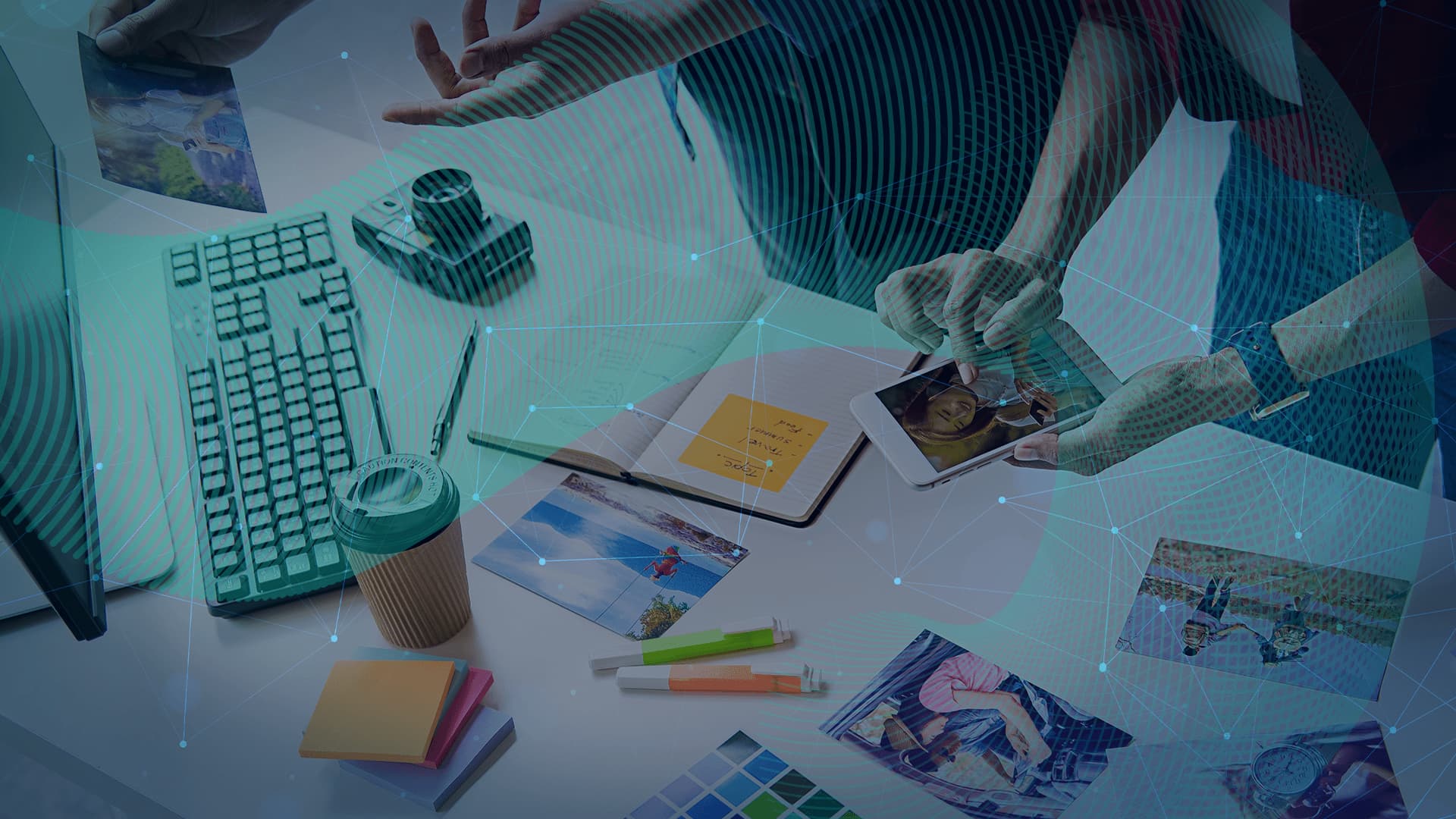 La Marca Posicionamiento | GinExeltis